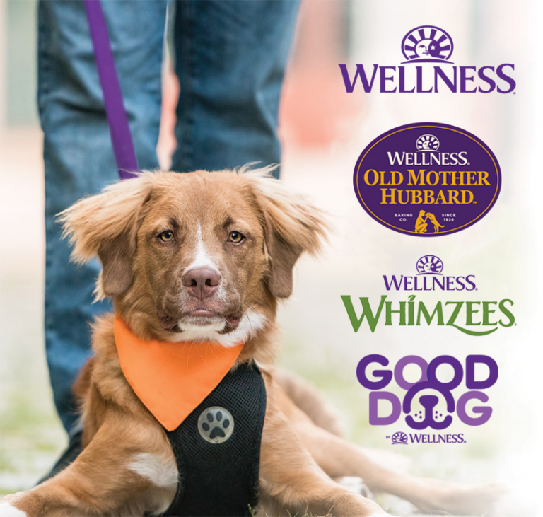Home - Wellness Pet Company